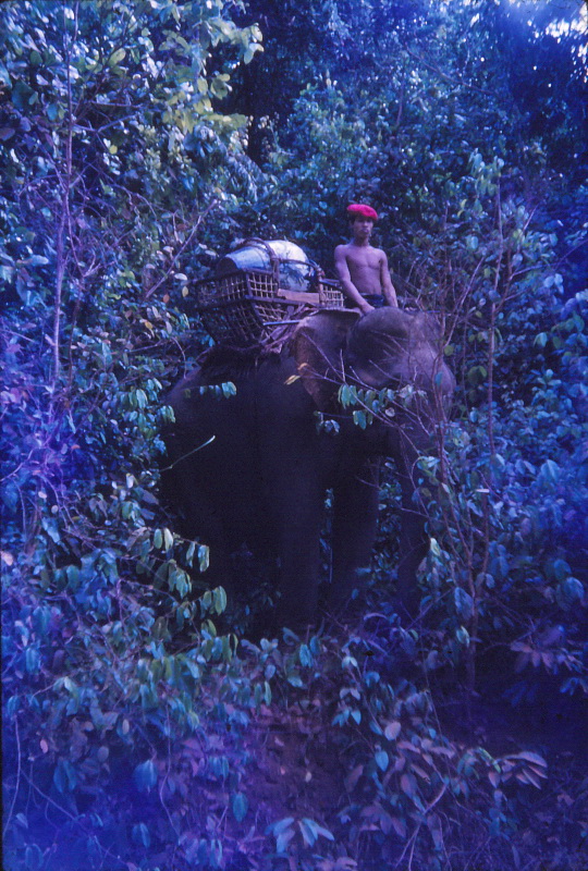 Anthropological Archives Database