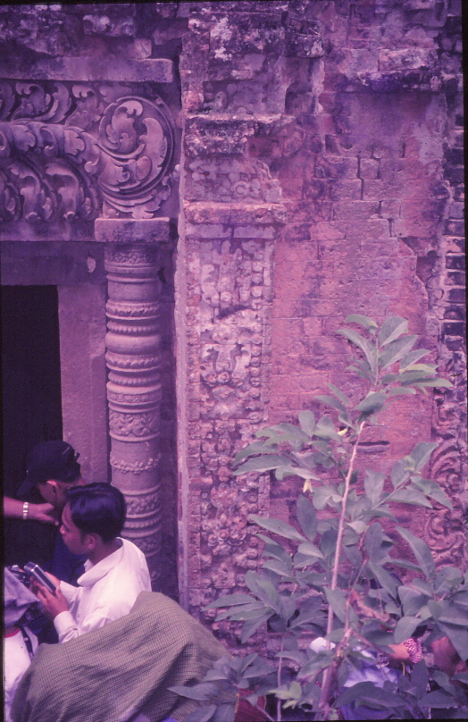 Anthropological Archives Database