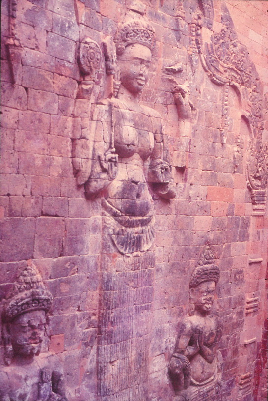 Anthropological Archives Database