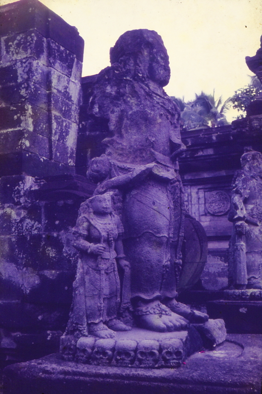 Anthropological Archives Database