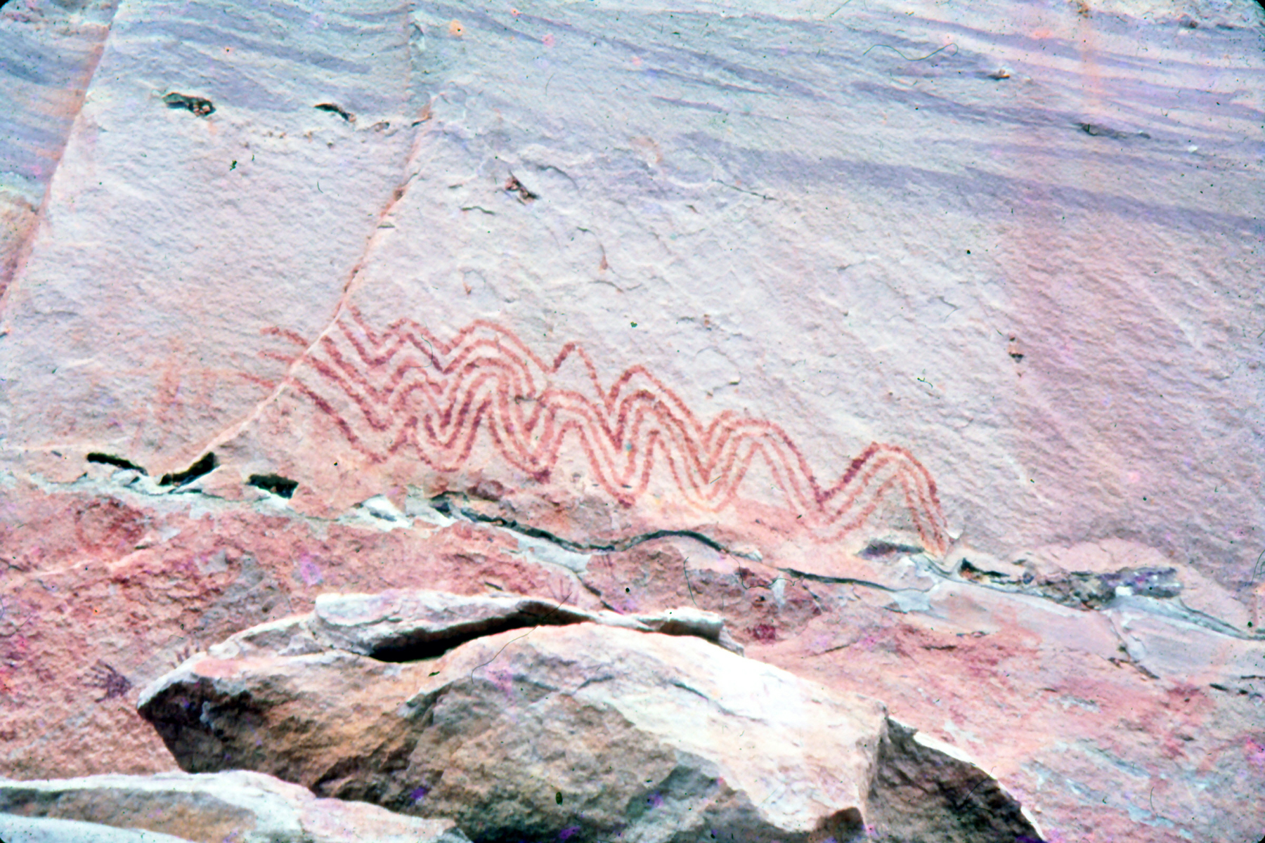 Anthropological Archives Database